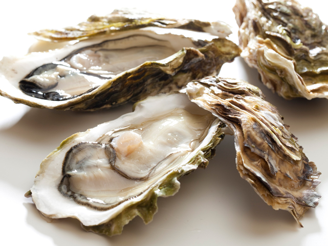 Oysters Sydney Rock – Fishermen's Co-op Oysters Sydney Rock – Fishermen's Co-op